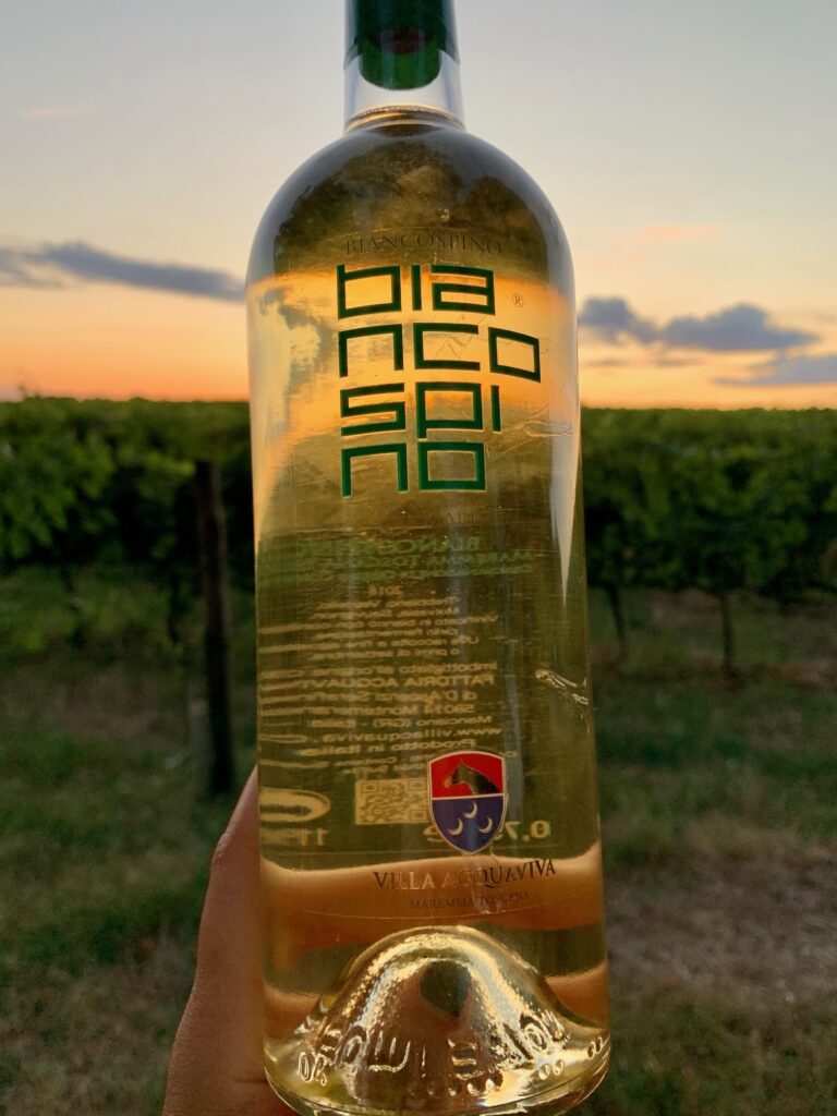 WinesCritic.com – L’Italia in un bicchier diVino