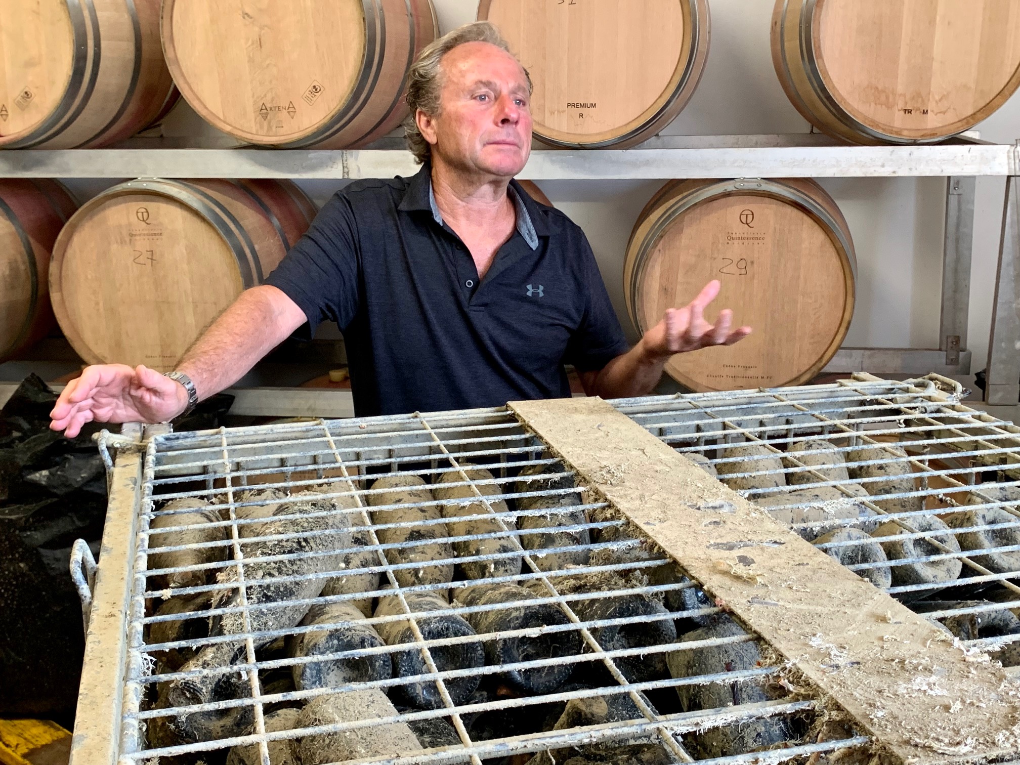 Talamo a Mare: il riposo subacqueo del blend dalle mille espressioni ...