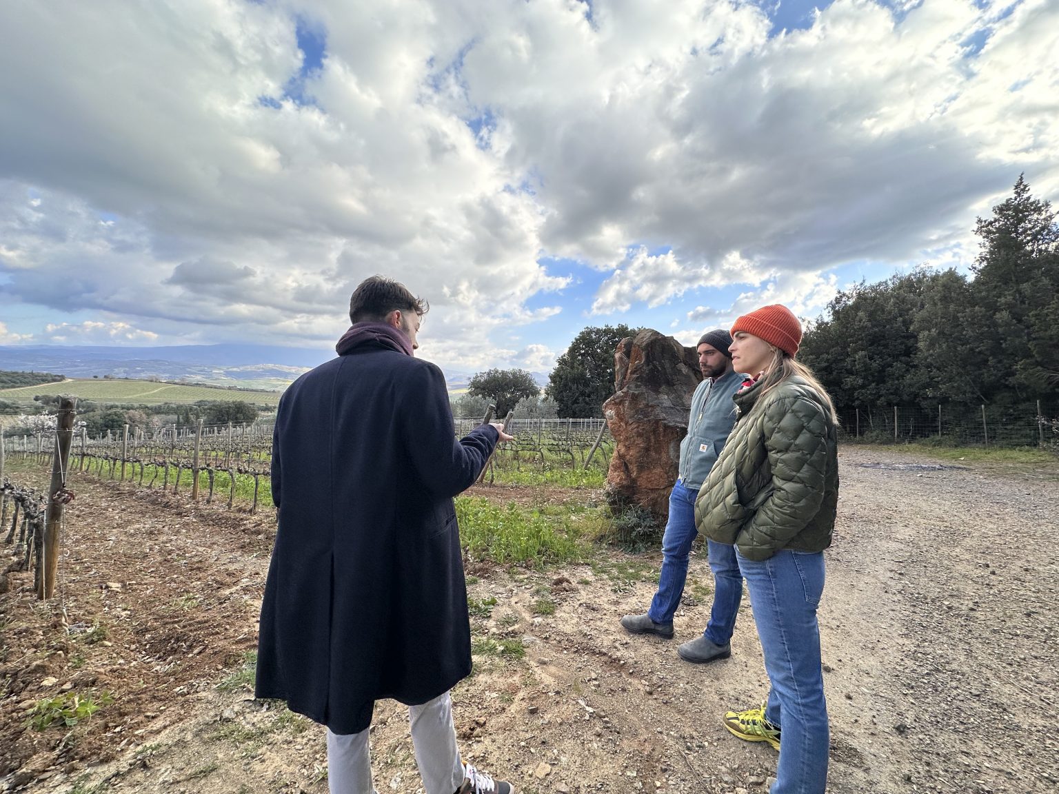 Brunello di Montalcino 2019, great material and spirited character ...