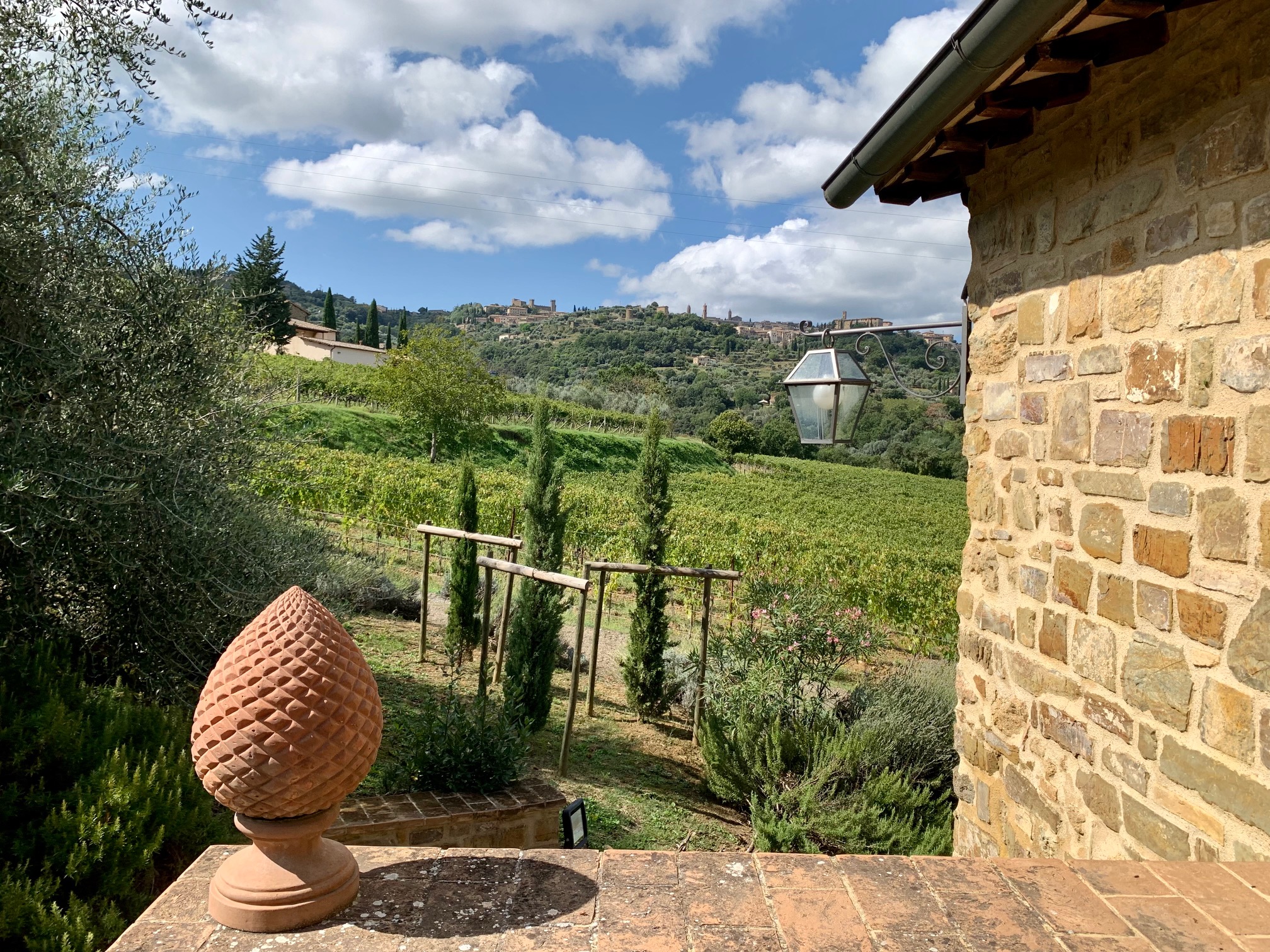 Brunello di Montalcino 2019, great material and spirited character ...